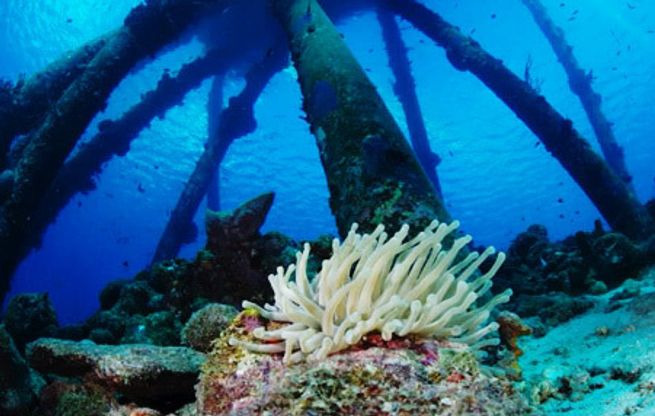 International Study | Catawba College