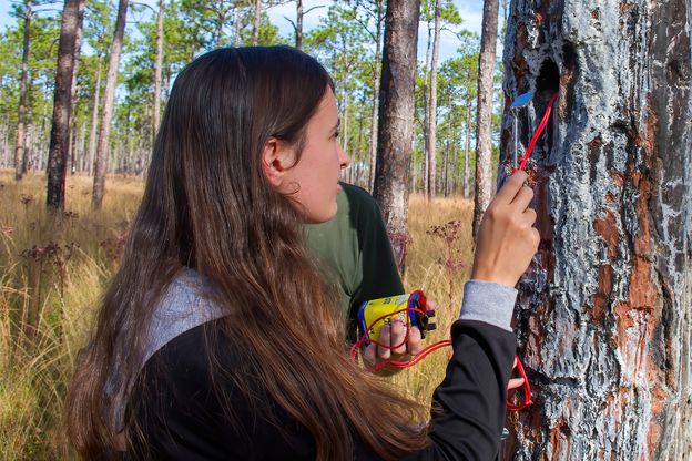 Usfs Program Catawba College