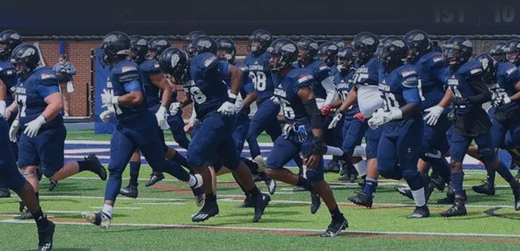 Sideline Mascot | Catawba College