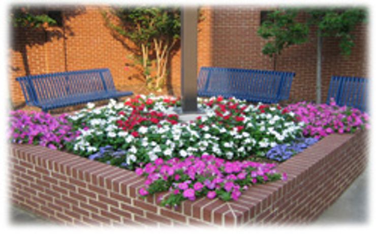 Campus Beautification Projects Planned for Catawba | Catawba College